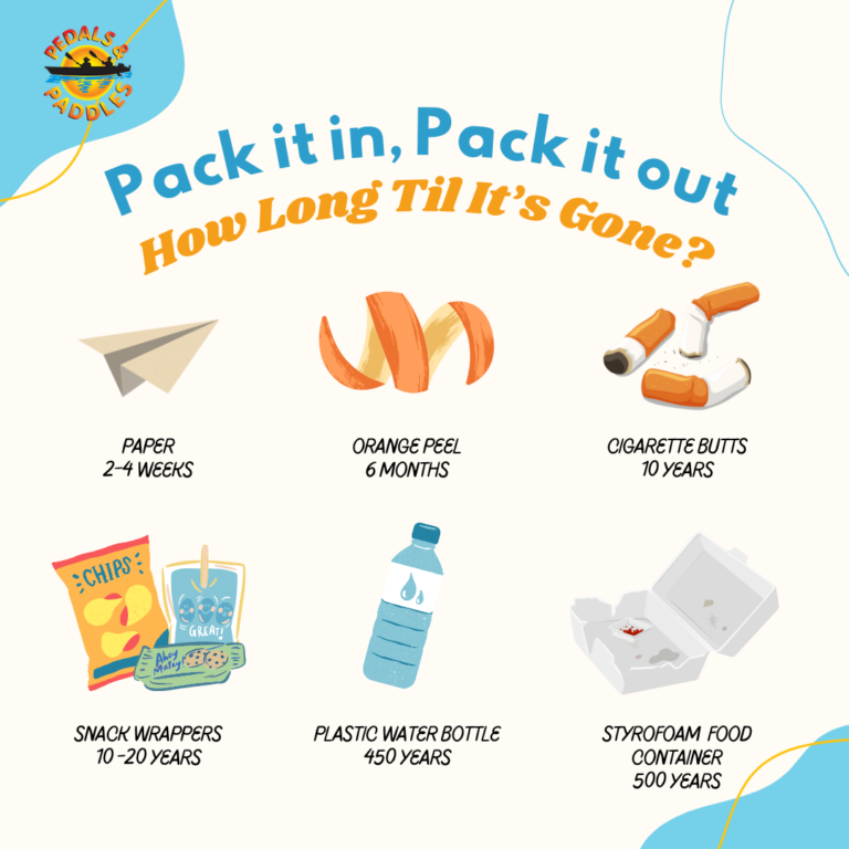 Your Guide to "Pack it in, Pack it out" on Your Sunshine Coast Kayak ...